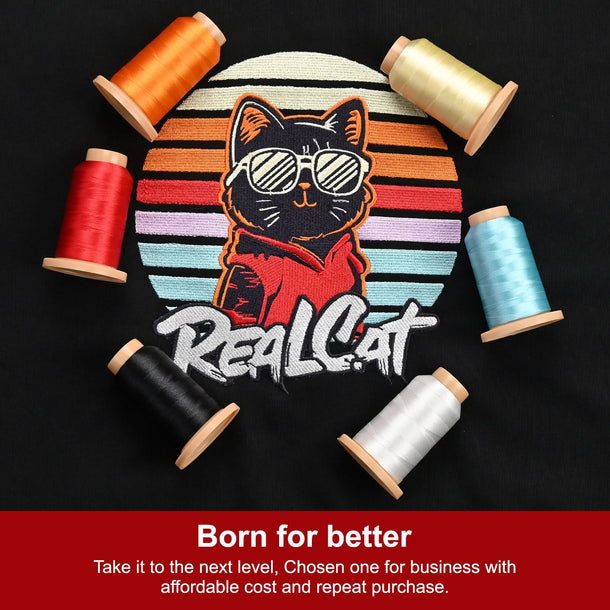 800m*60 colors Richword 108D/2 40wt Polyester Embroidery Thread / Sewi